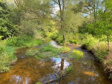 Learning together - Health Valley Trail - Waterloo Region Nature