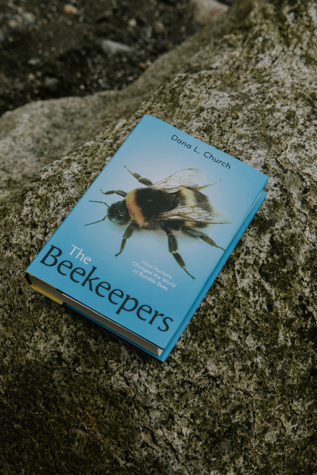 Bumble Bees: Insect Teddy Bears in Our Backyards - Waterloo Region Nature