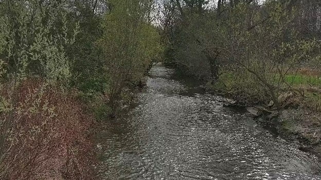 Learning together - Laurel and Forwell Creeks - Waterloo Region Nature